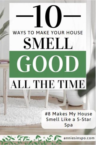 How to Make Your House Smell Good All the Time - Annie's Inspo