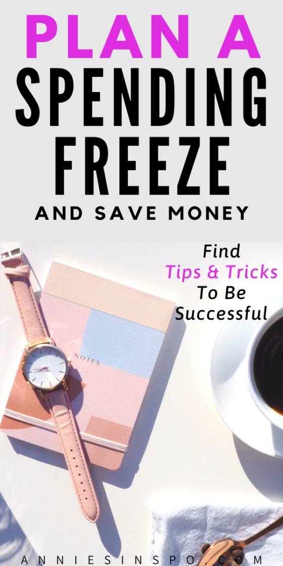 How To Do A Spending Freeze and Save Money - Annie's Inspo