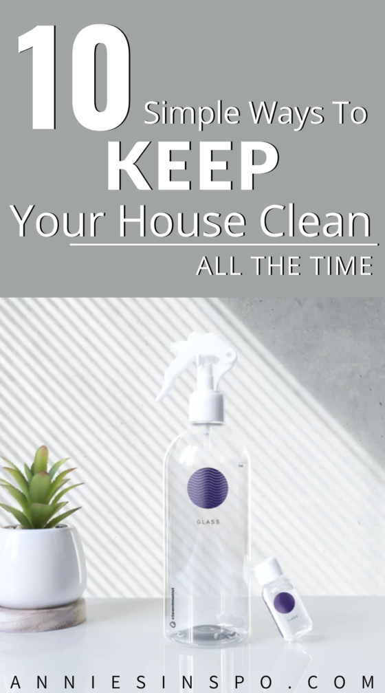 10 Easy Ways To Keep Your House Clean All The Time - Annie's Inspo
